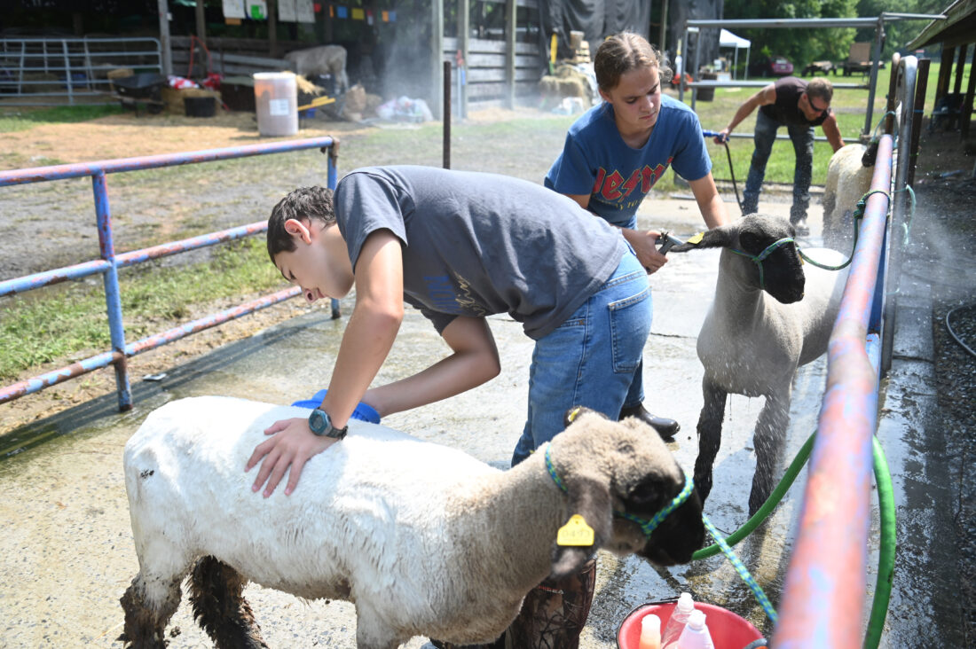 Thousands attend local farm show | News, Sports, Jobs - Altoona Mirror